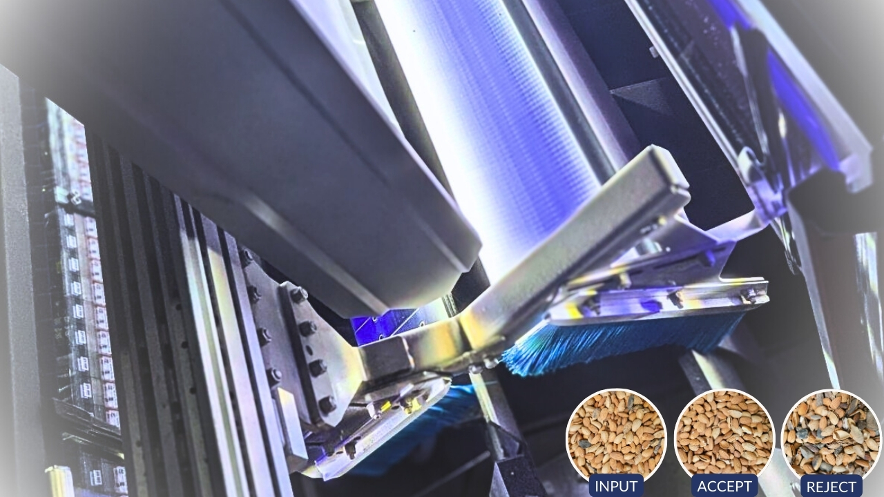 Optical Sorters vs “Colour Sorters” – Allegiant